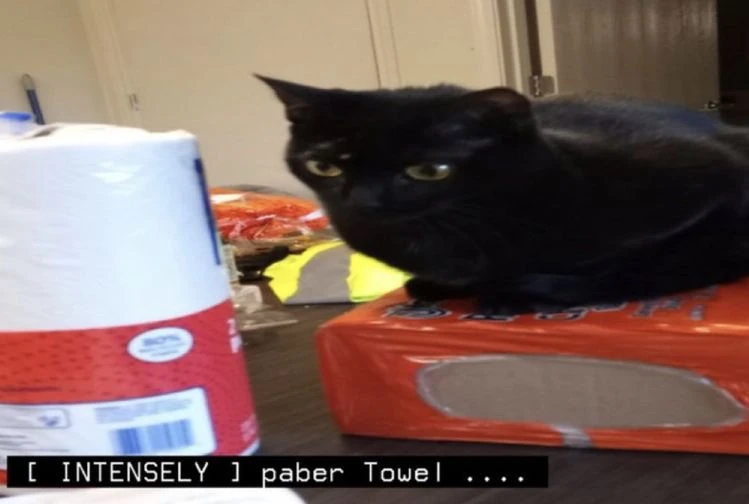 Hear me out | Fandom