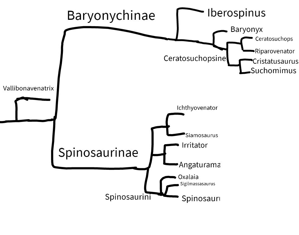 Quick Spinosaurid phylogeny | Fandom