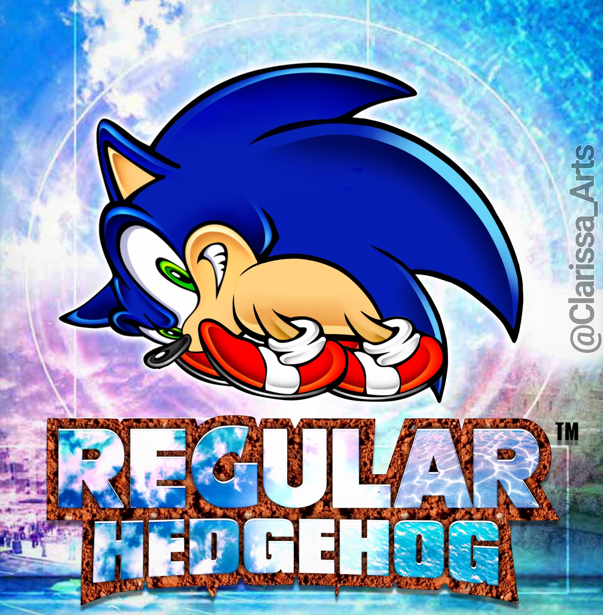 Meanwhile in a parallel universe where Sonic is more realistically ...