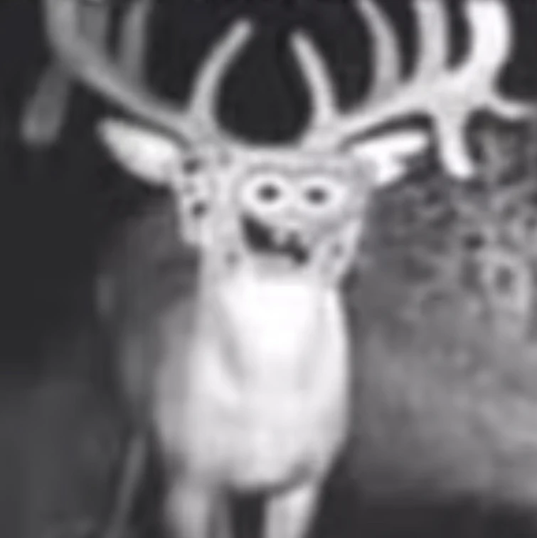 Pikwik Carson in Noddy??? | Fandom