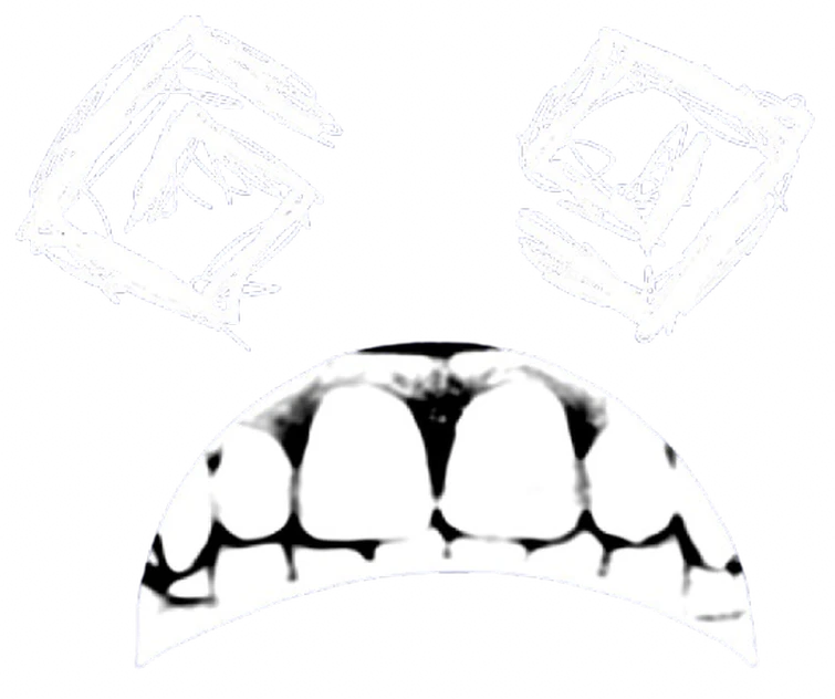 Interminable Hypothermia Section V | Fandom