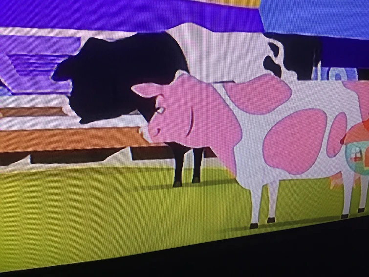 🤣🤣🤣🤣🤣🤣🤣🤣🤣🤣🤣🤣🤣🤣🤣🤣🤣🤣🤣🤣🤣🤣🤣🤣🤣🤣🤣🤣 | Fandom