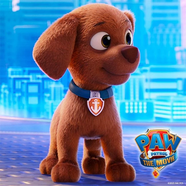 The post is dedicated to Zuma | Fandom