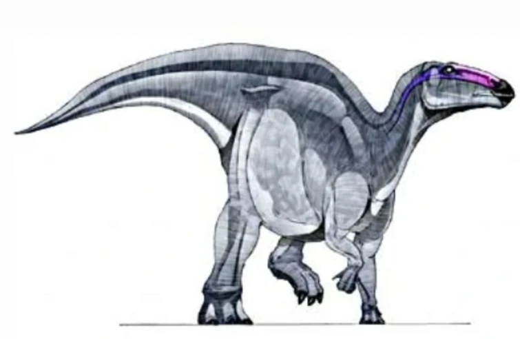 Discuss Everything About Dinopedia | Fandom