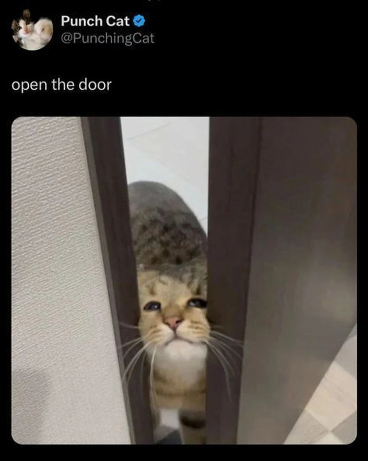 All posts by Tenu-Tenu | Fandom