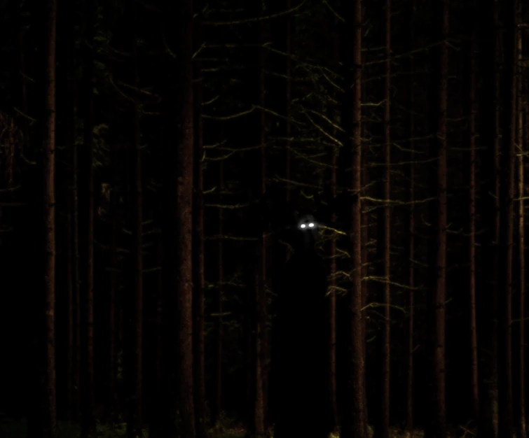 SCP 7233, the forest keeper | Fandom