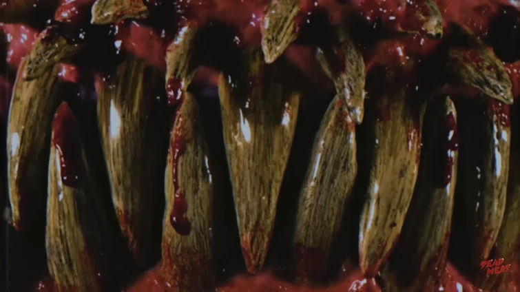 DEAD MEAT: The V/H/S Kill Counts (2024) KILL COUNT | Fandom