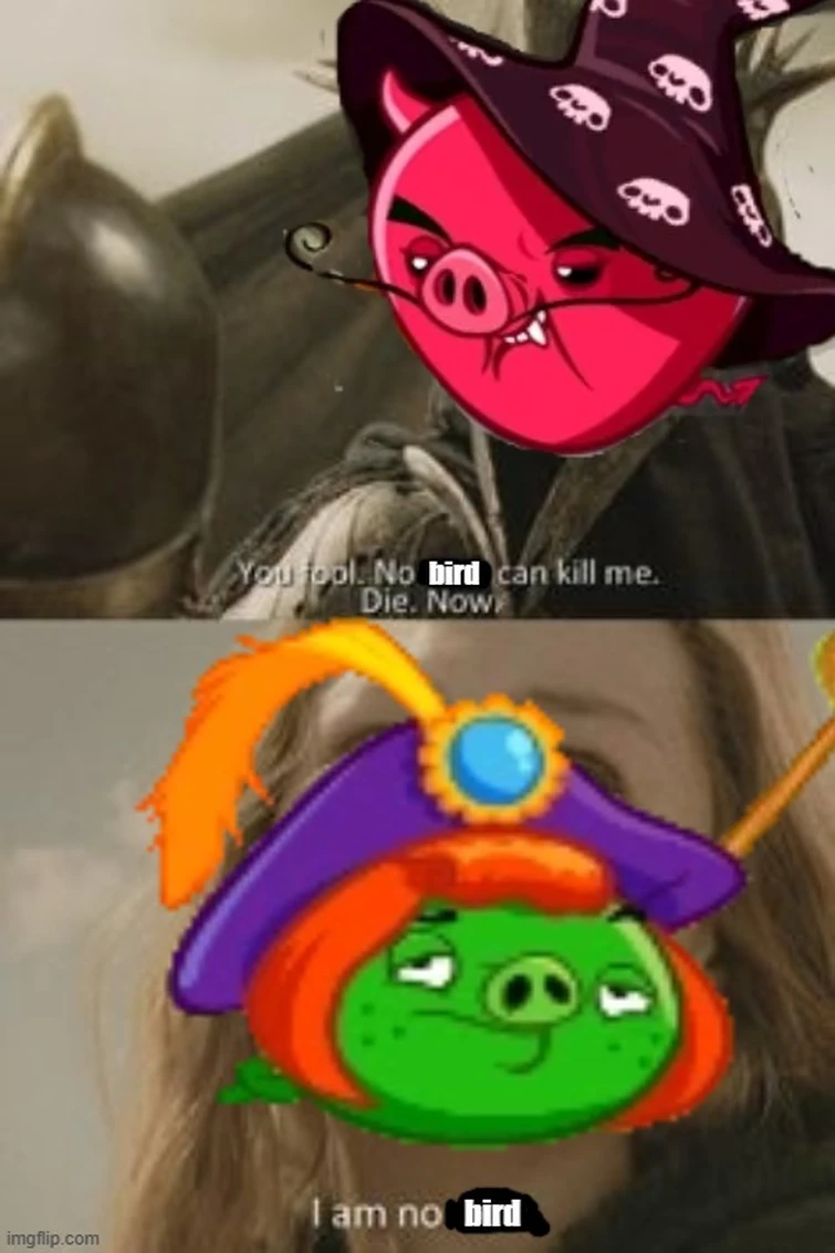 Angry Birds Epic final level in a nutshell | Fandom