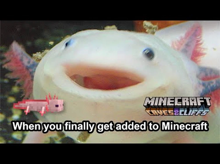 Discuss Everything About Minecraft Wiki | Fandom