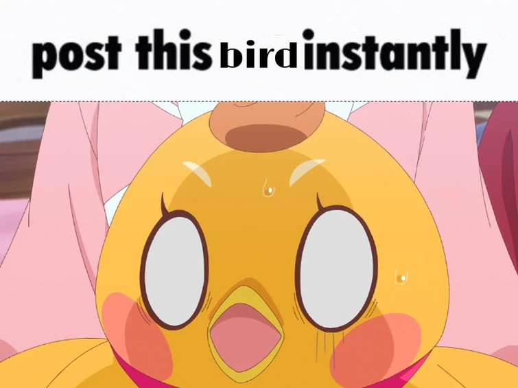 an assortment of low quality tsu baba (tsubasa) | Fandom