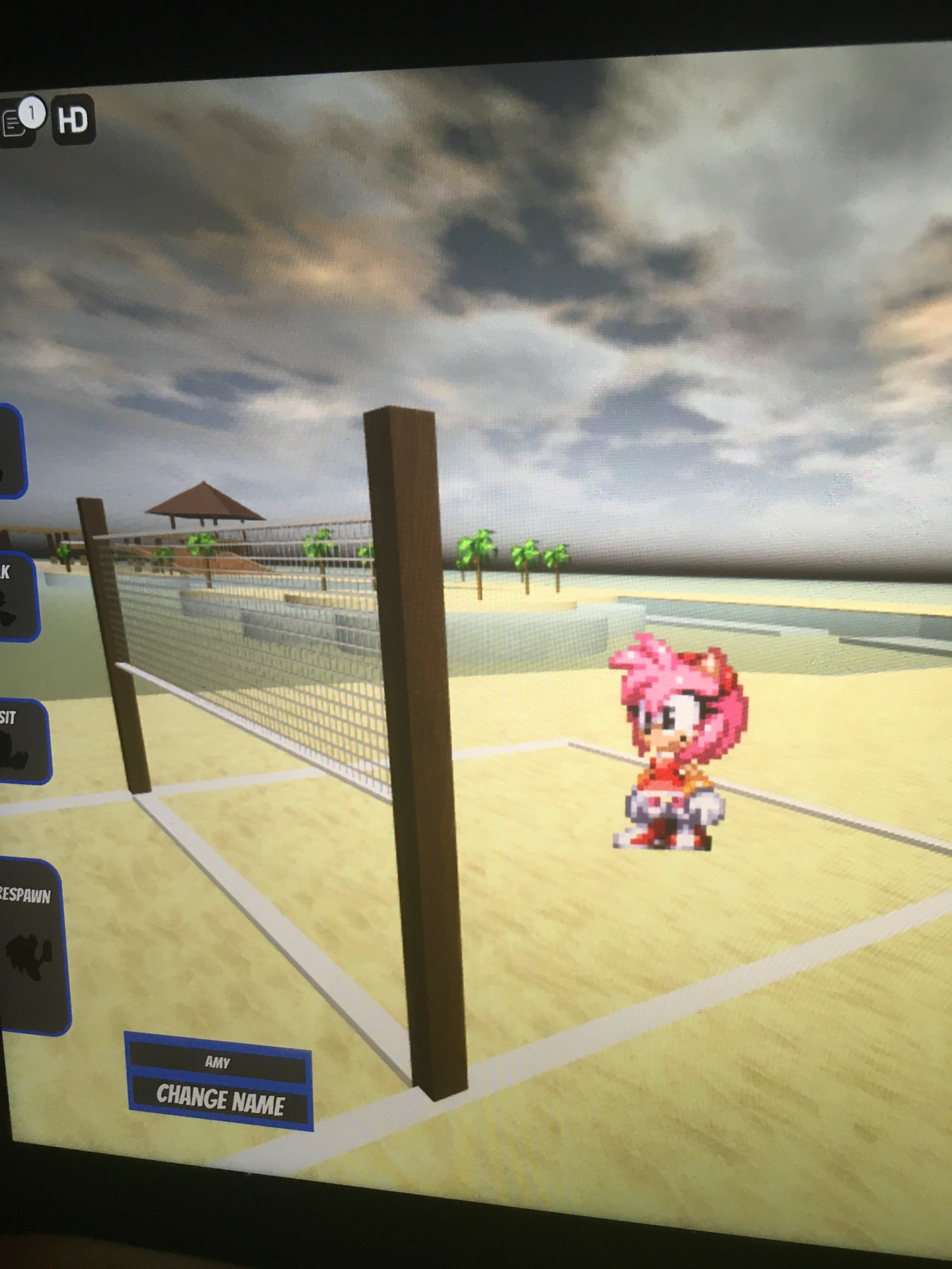 Amy rose in the volleyball court | Fandom
