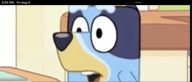 Cursed bingo image (and bluey) | Fandom