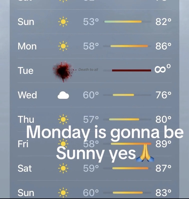 NOLI RELEASE DATE!!!!! | Fandom