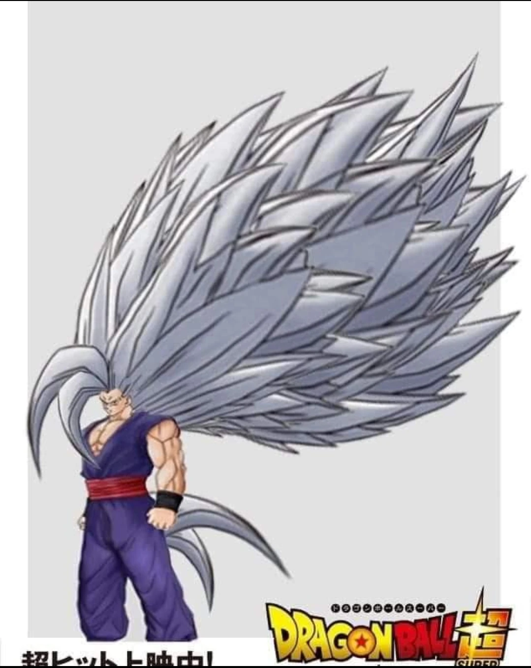 DBS New form leaked | Fandom