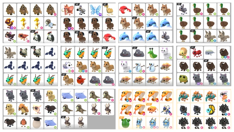 Trading for butterflies | Fandom