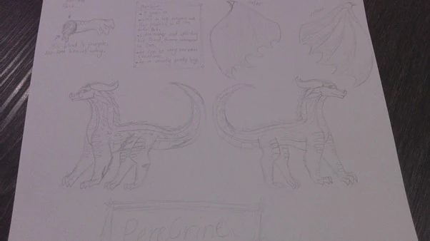 *trys to draw my first ref sheet on paper* | Fandom