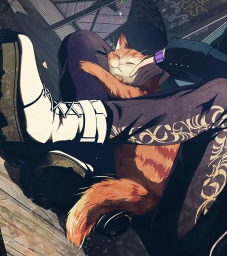 Vbs and cats | Fandom