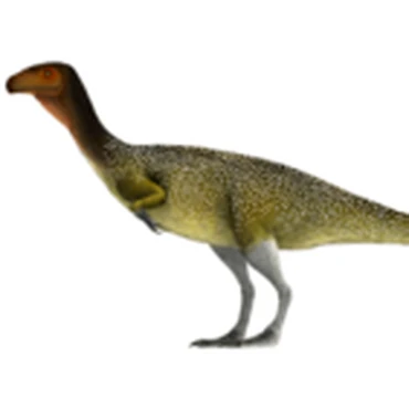 Discuss Everything About Dinopedia | Fandom