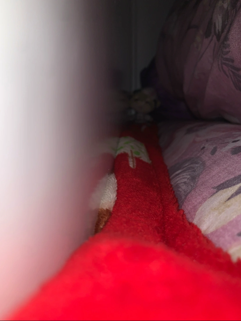 now imagine a hamster staring at you like this | Fandom