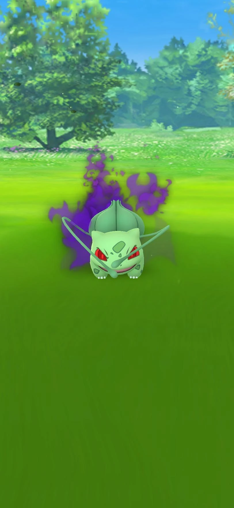Um so first time getting shadow bulbasaur from cliff | Fandom