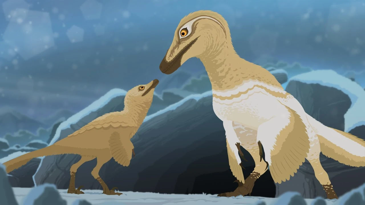 Dead Sound Uploads! | Fandom