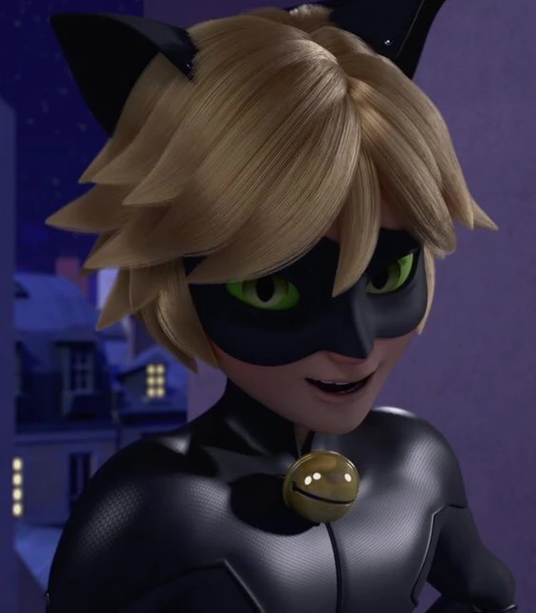 Chat noir smiling to brighten up your day | Fandom