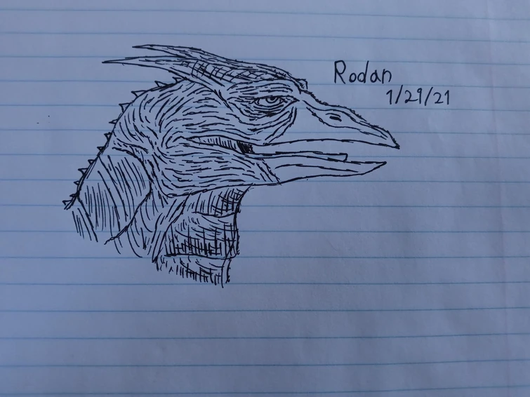Varan and Rodan Doodles | Fandom