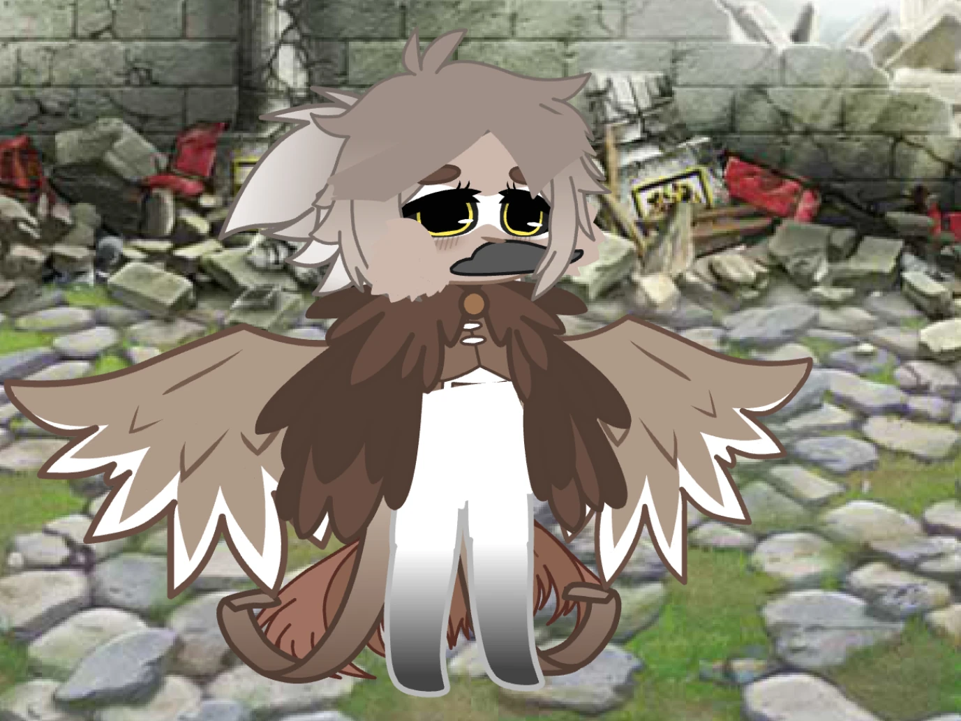 I MADE A TIMY OWL | Fandom