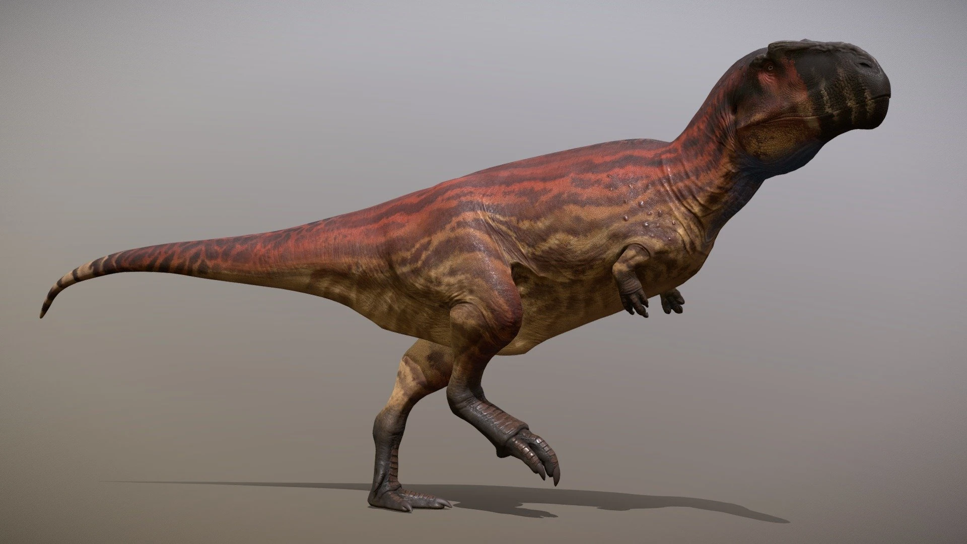 Primeval battle world championship season 2 ended | Fandom