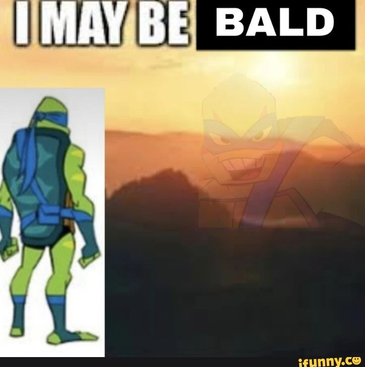 memey memez | Fandom