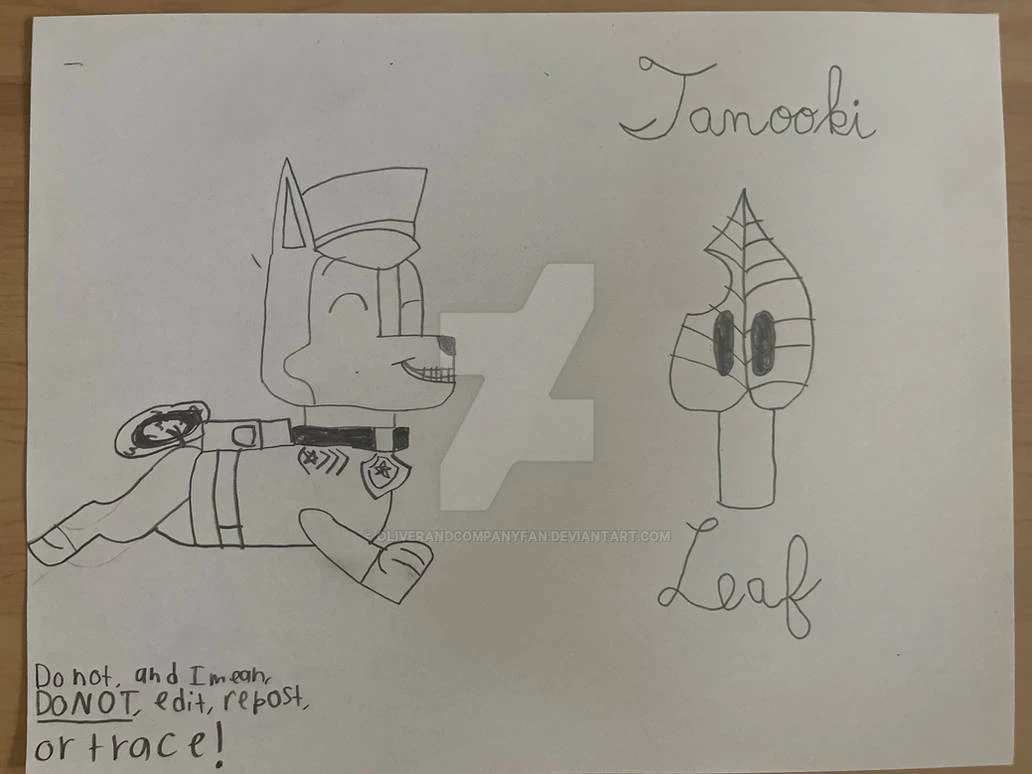 Tanooki Chase | Fandom