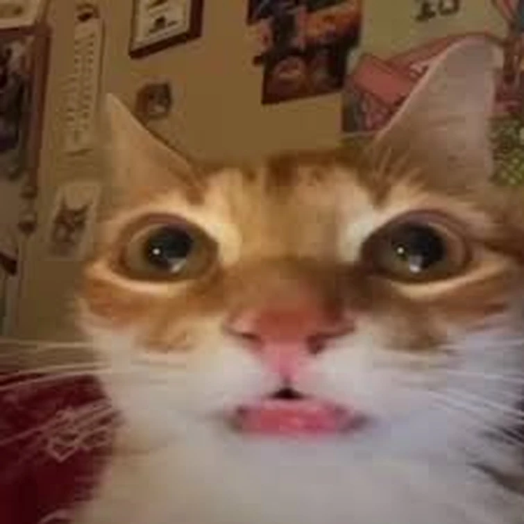 May I have the assistance of a pfp | Fandom