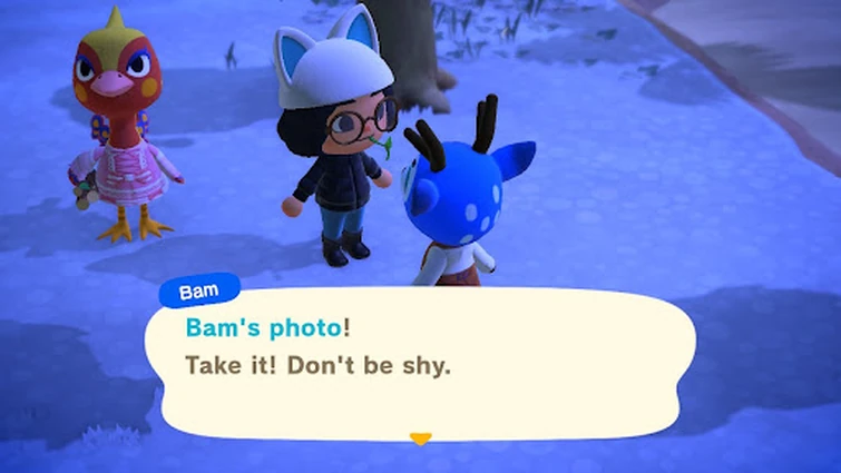 Discuss Everything About Animal Crossing Wiki | Fandom