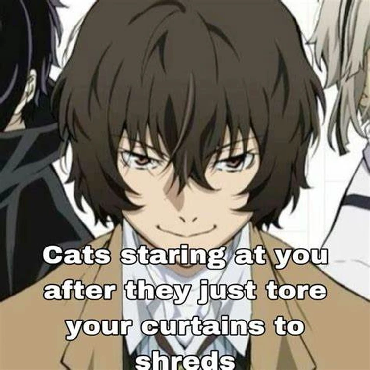 memes pt42 and 43 | Fandom