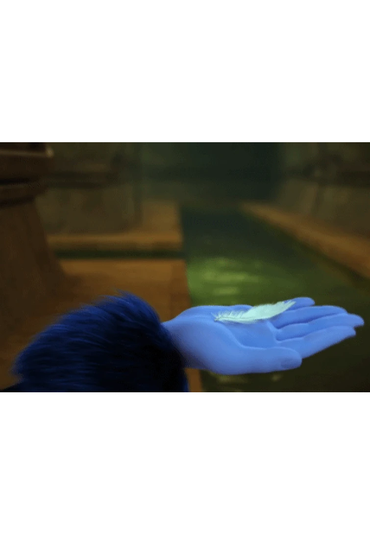 Single Birth | Fandom