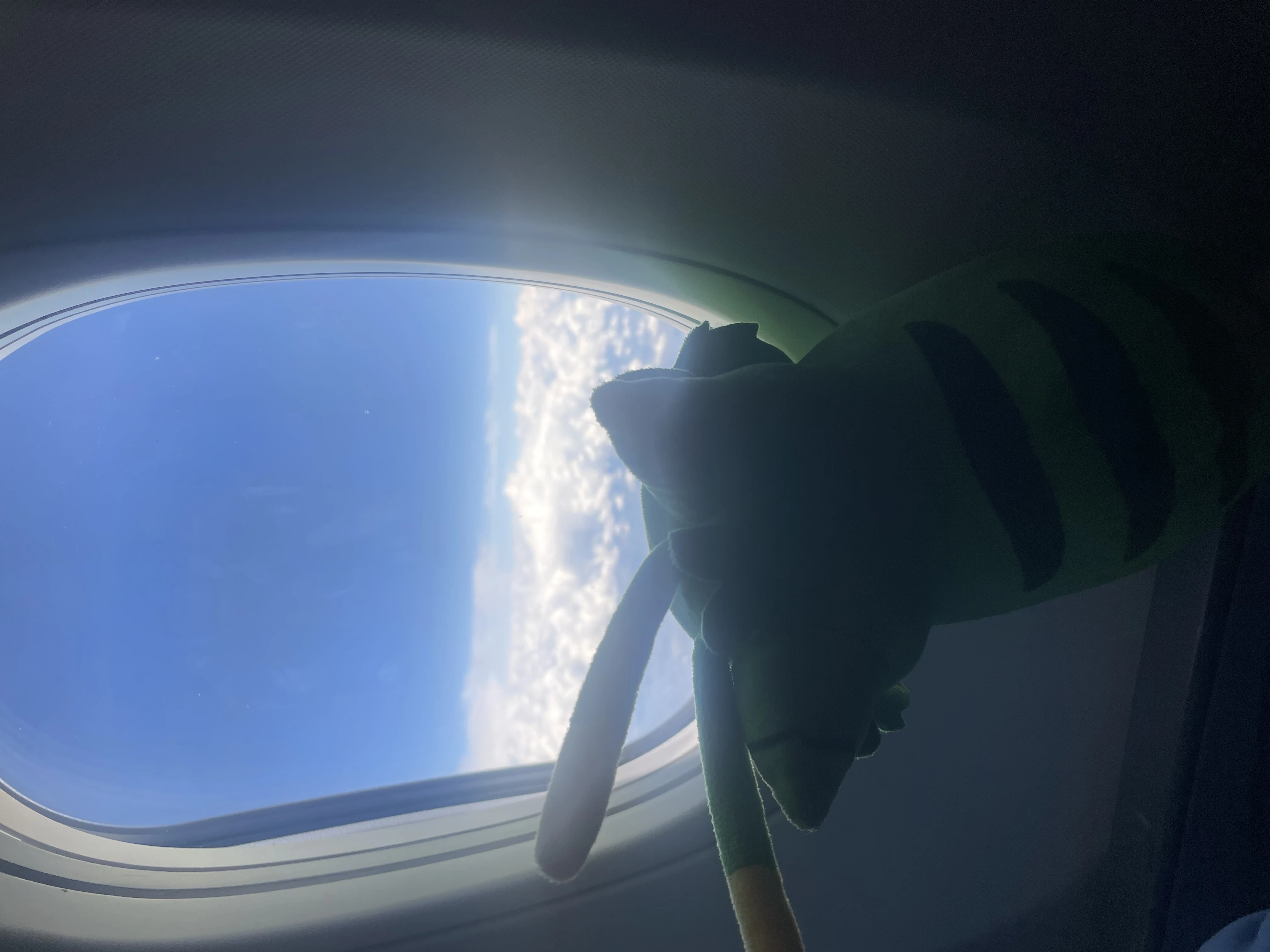 Gnapry on a plane (help why is it flipped :sob:) | Fandom