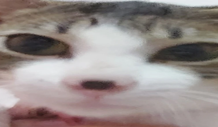 Should I change my pfp (just askin) | Fandom