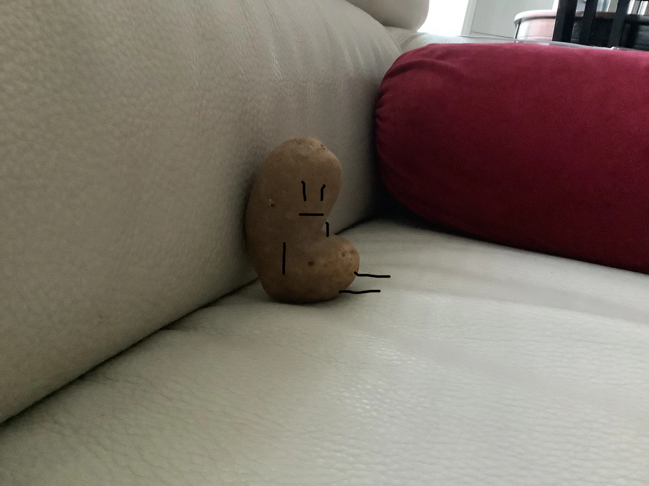 Couch Potato | Fandom