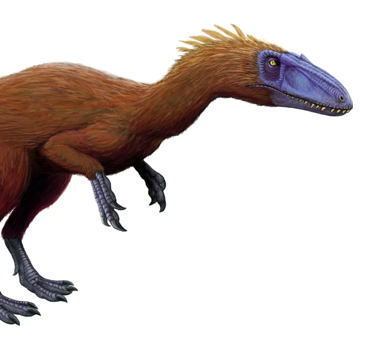 Dino Battles Mini Storylines - Zuolong vs Herrerasaurus | Fandom