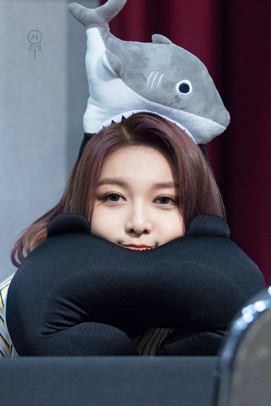 A dami a day #3 | Fandom