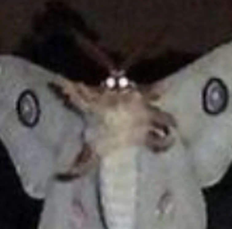 Write a cringe Wattpad story chapter 2 | Fandom