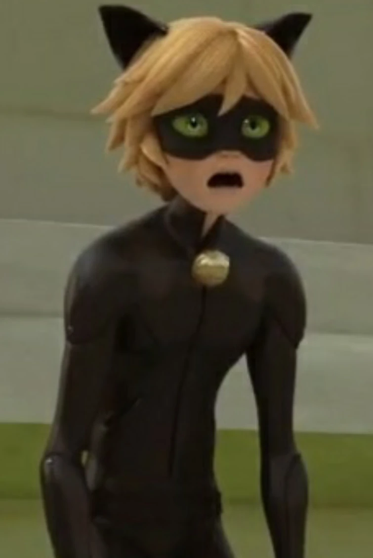 Look, Cat Noir is shocked after Tigress used her Clout | Fandom