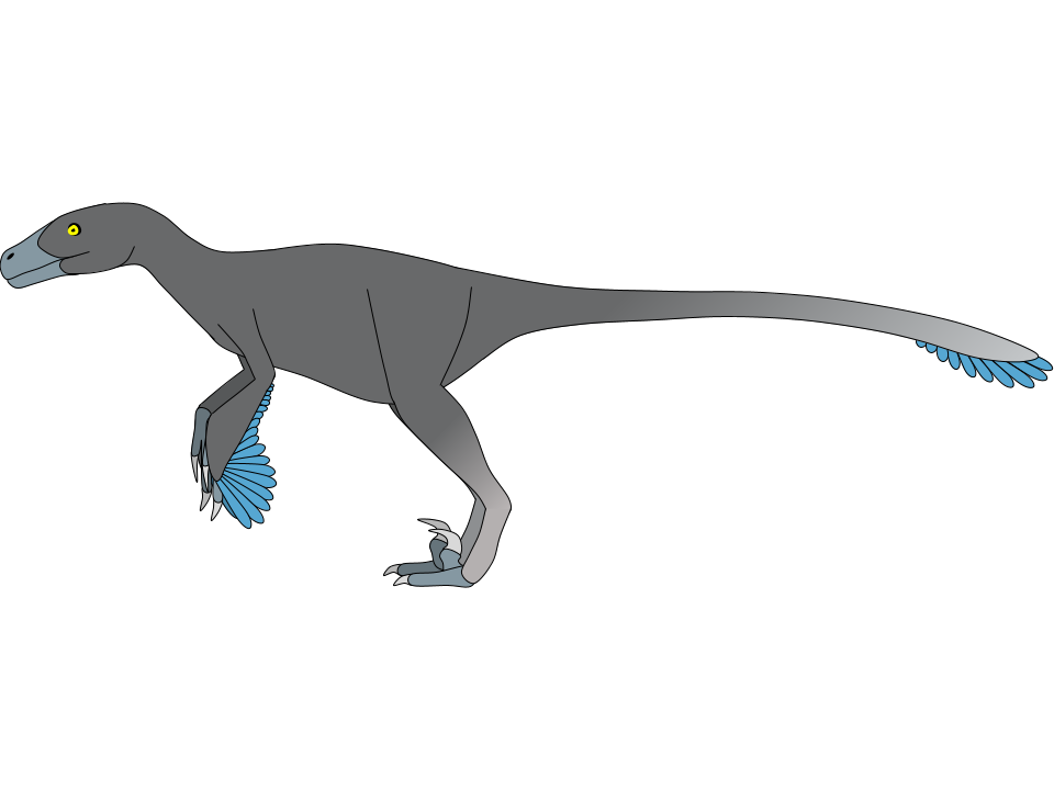 Dromaeosaurus art | Fandom