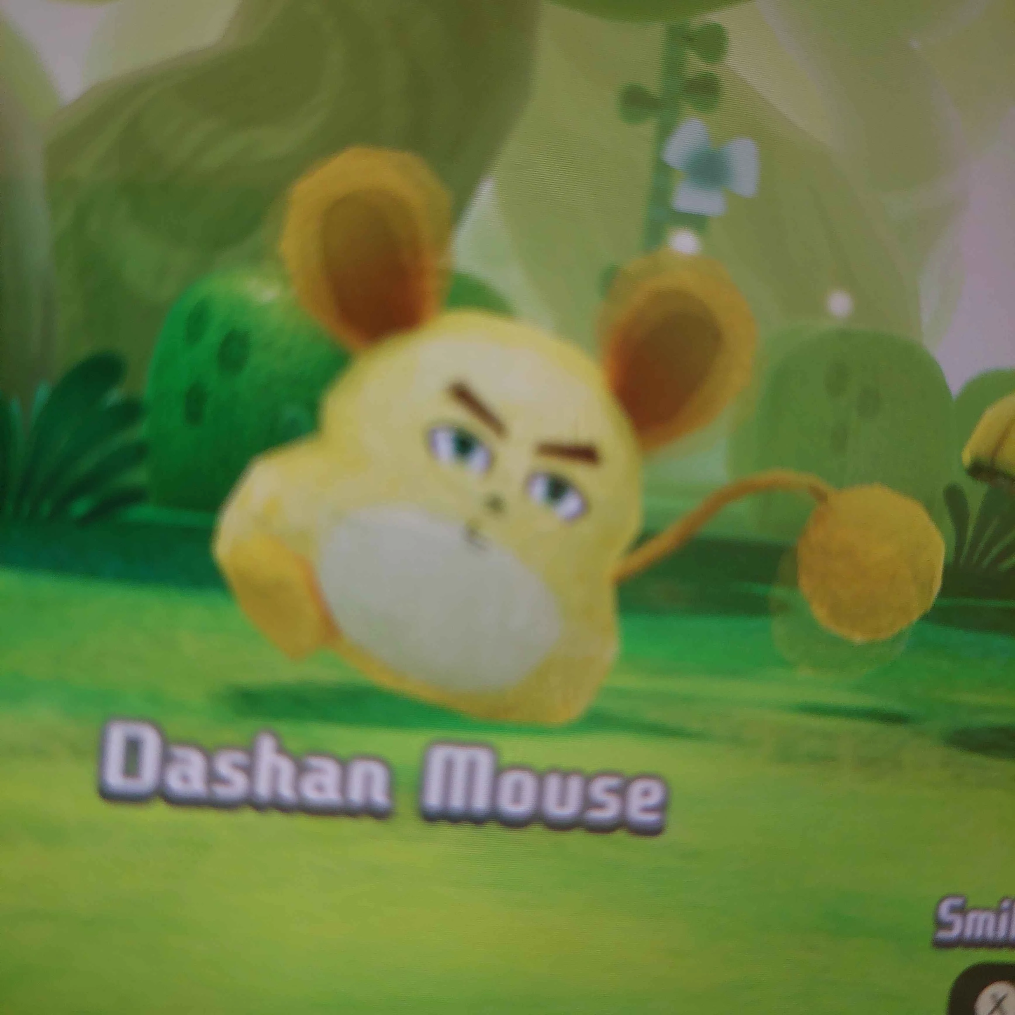 I think this mouse is about to talk about Cartoon Network coming to ...