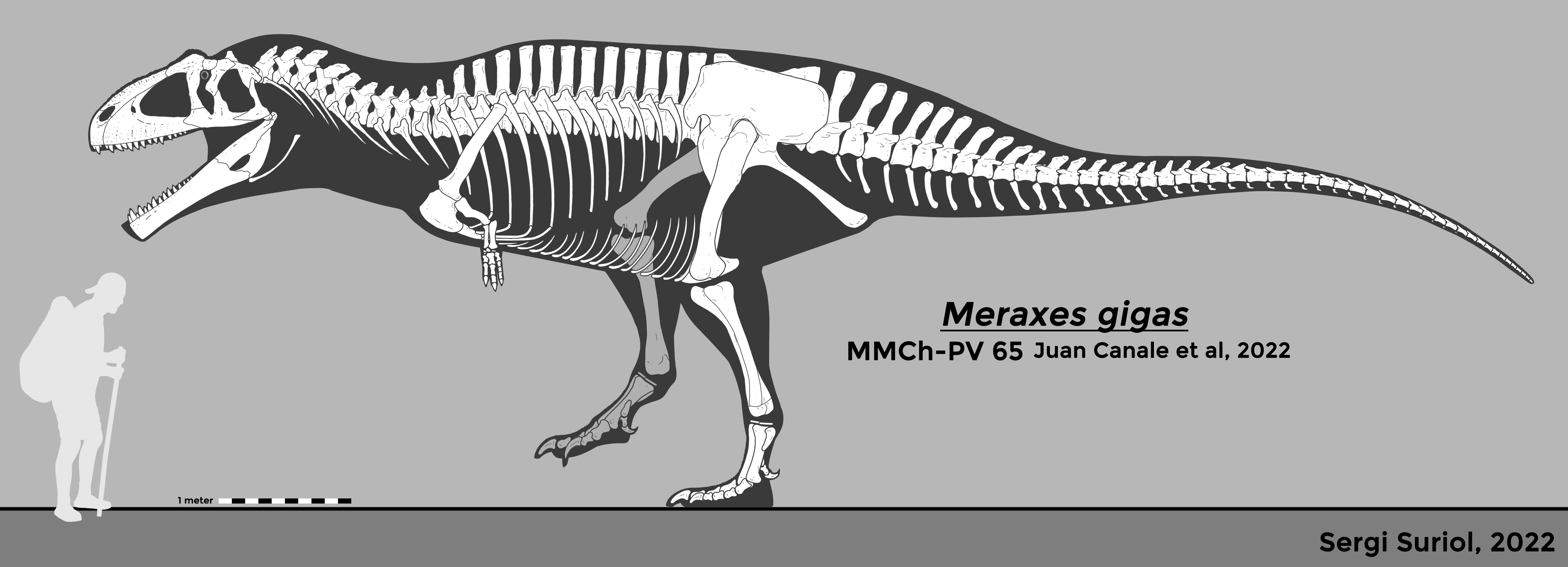 Meraxes gigas | Fandom