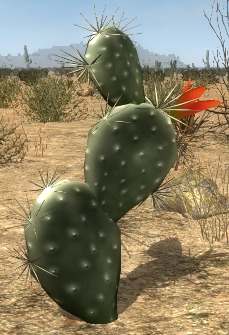 Feigenkaktus – Offizielle 7 Days to Die Wiki