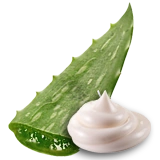 Medizin (Fertigkeit) – Offizielle 7 Days to Die Wiki