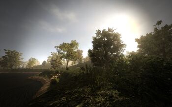 Wald – Offizielle 7 Days to Die Wiki