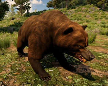 Bär – Offizielle 7 Days to Die Wiki