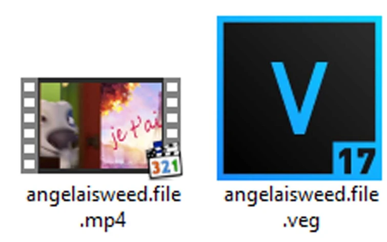 (Meme?) Best File Name | Fandom